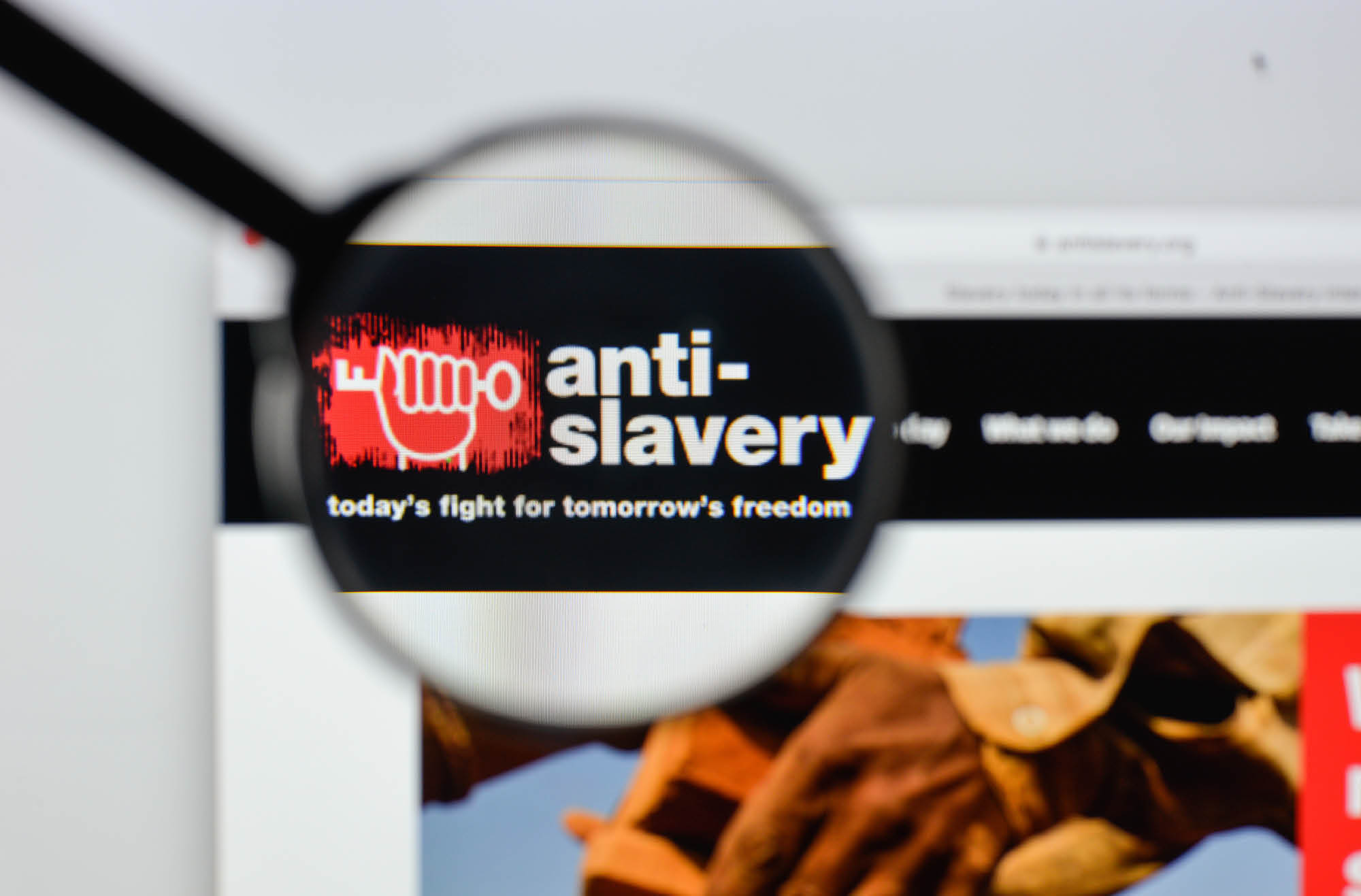 News – Local Government Procurement